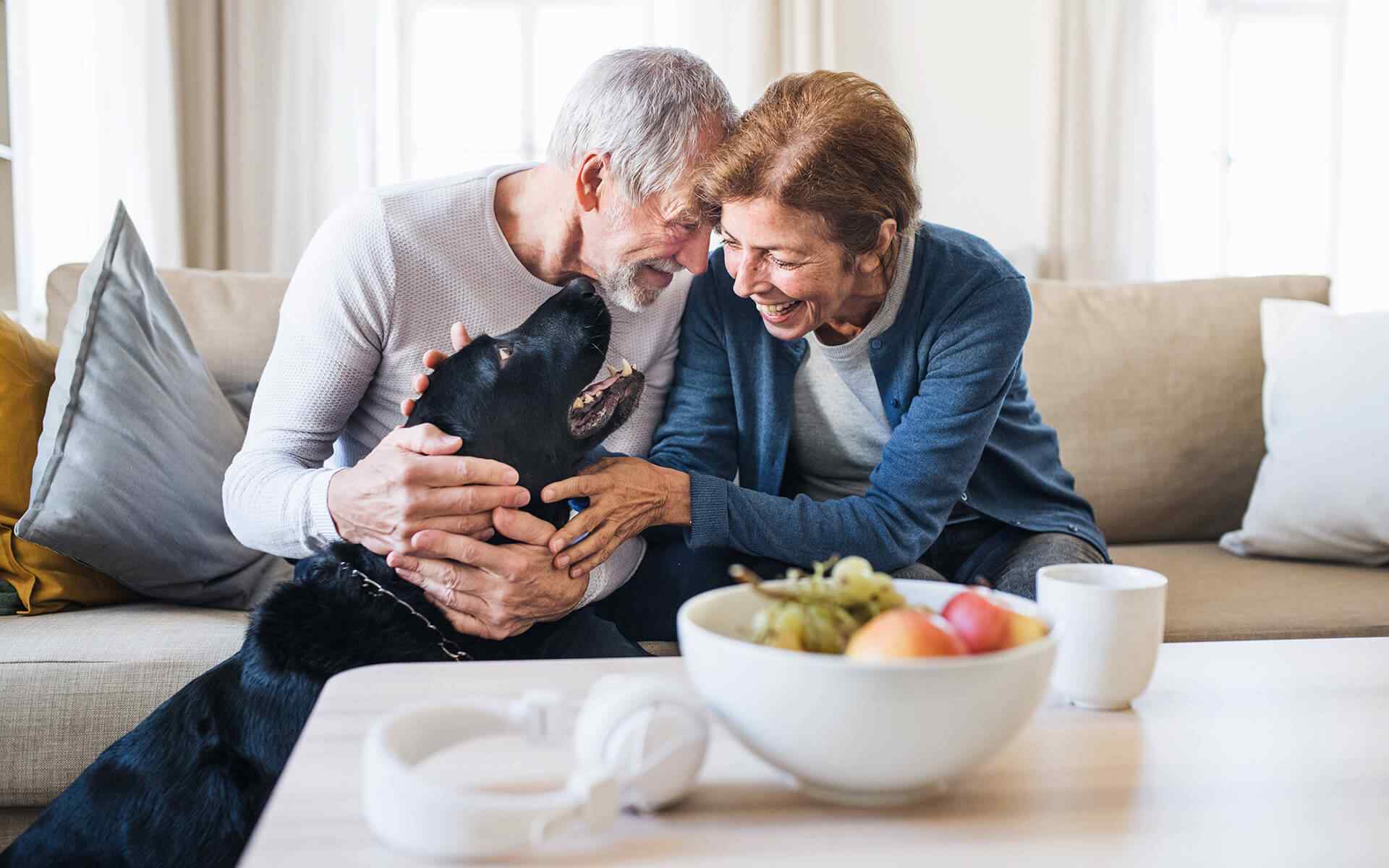 Services – Marich Plan